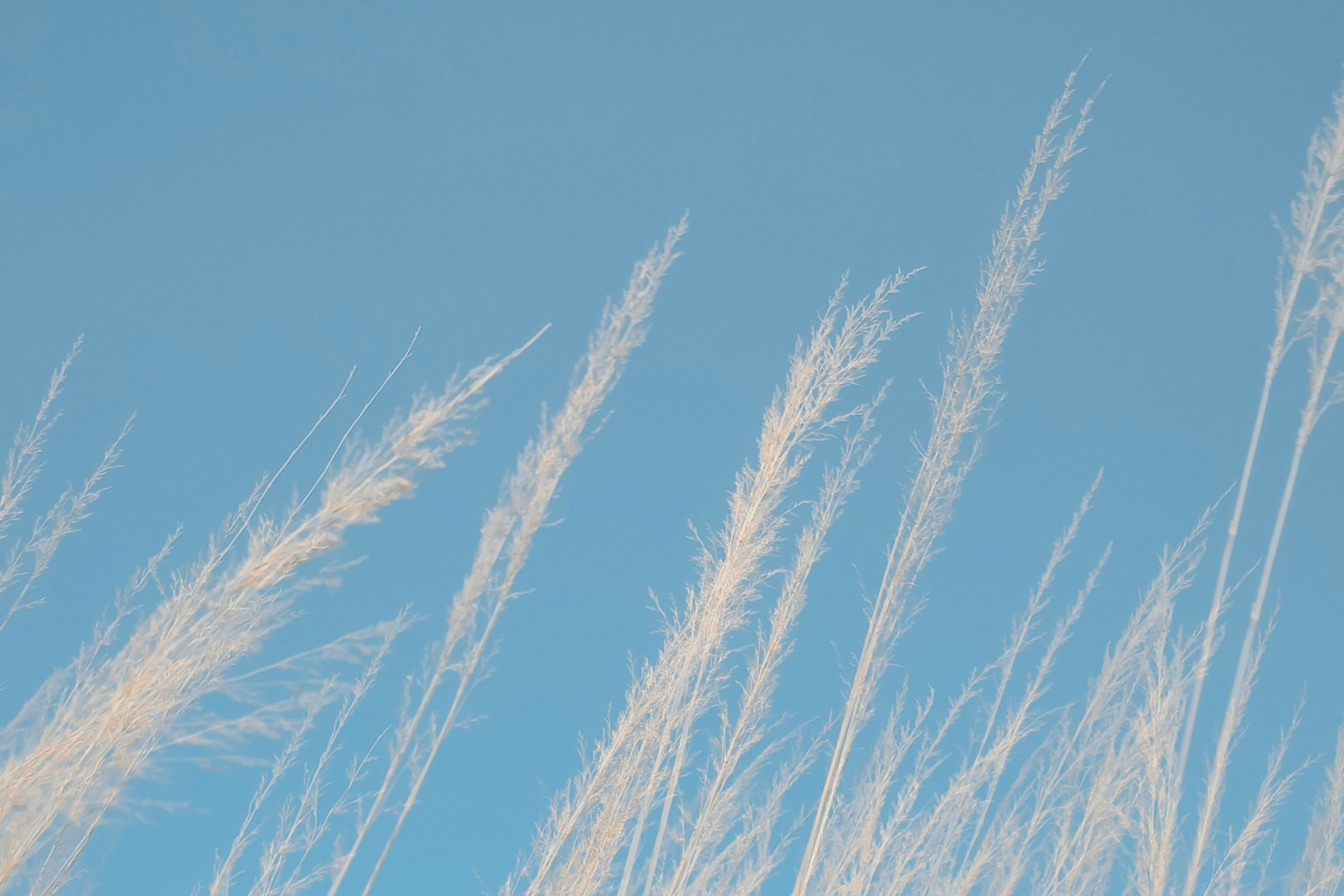 Understanding Vata Body Type: Ayurvedic Tips for Balance and Wellness ...