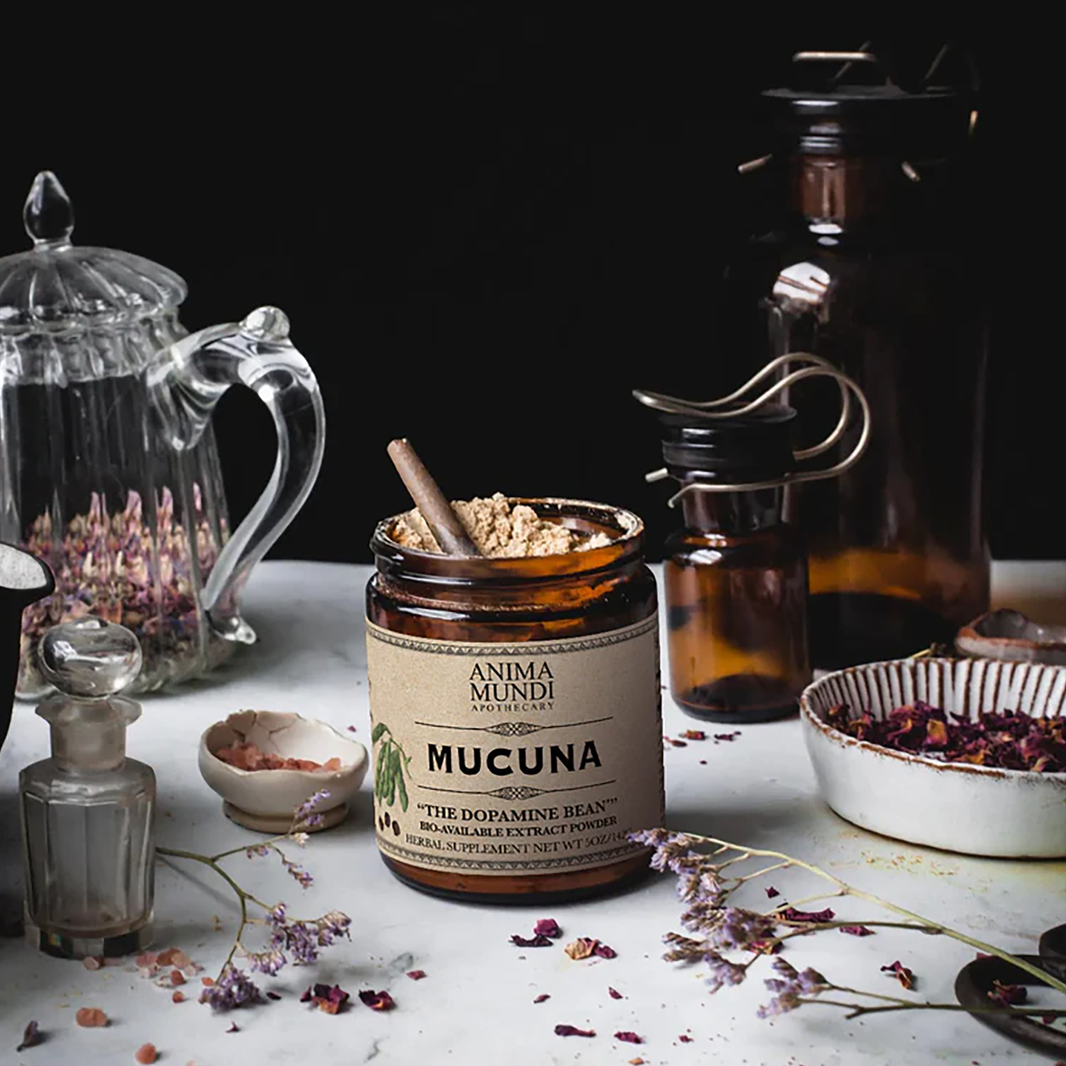 6 Potential Mucuna Pruriens Benefits for Mood & Vitality – haveda